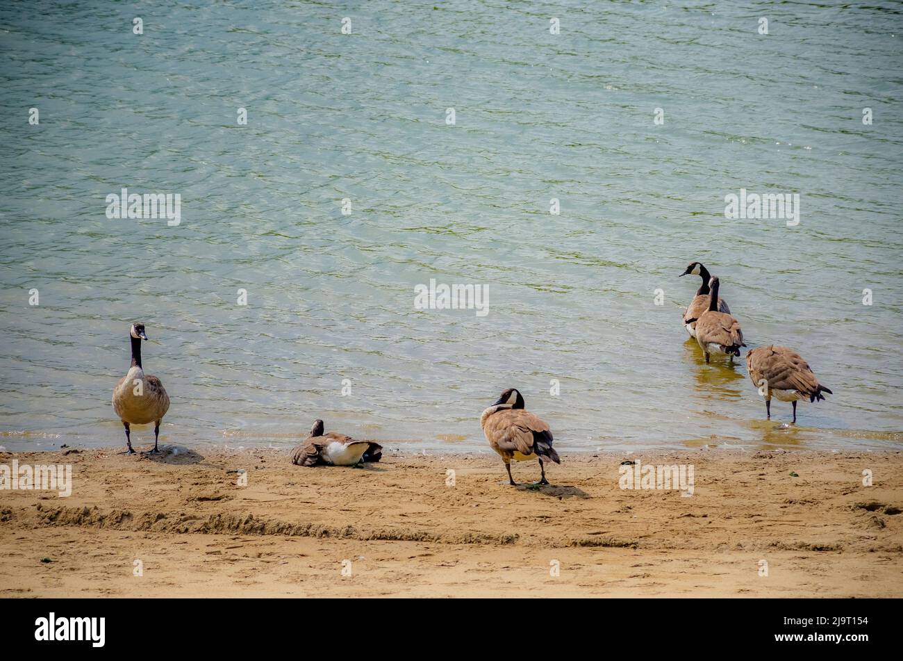 Whitewater memorial state park hi-res stock photography and images - Alamy