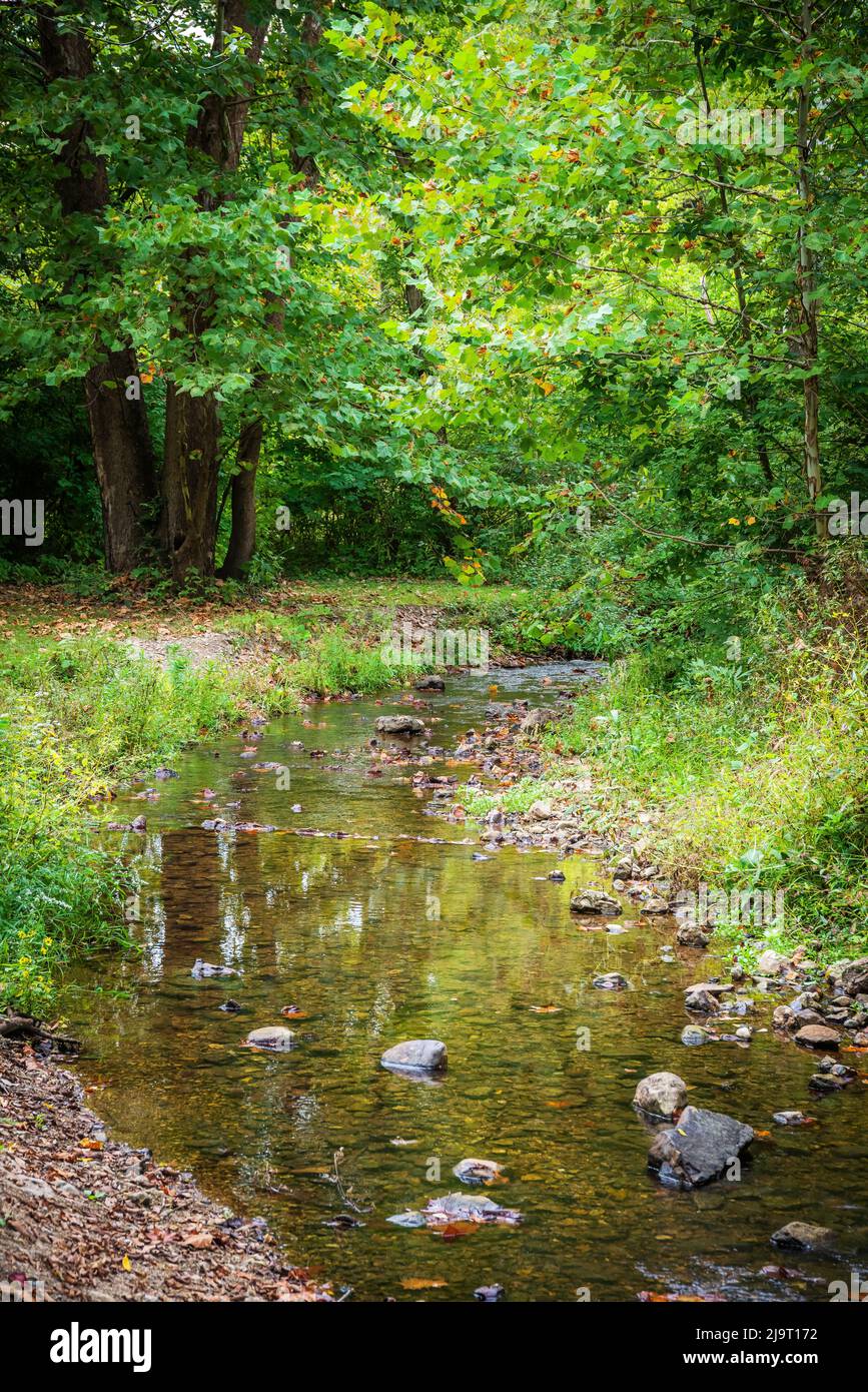 France park indiana hi-res stock photography and images - Alamy