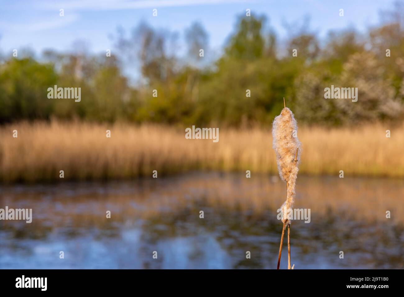 Greenford, London, England, UK, Local Area Photography Stock Photo - Alamy