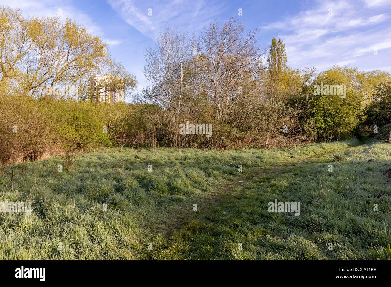 Greenford, London, England, UK, Local Area Photography Stock Photo - Alamy