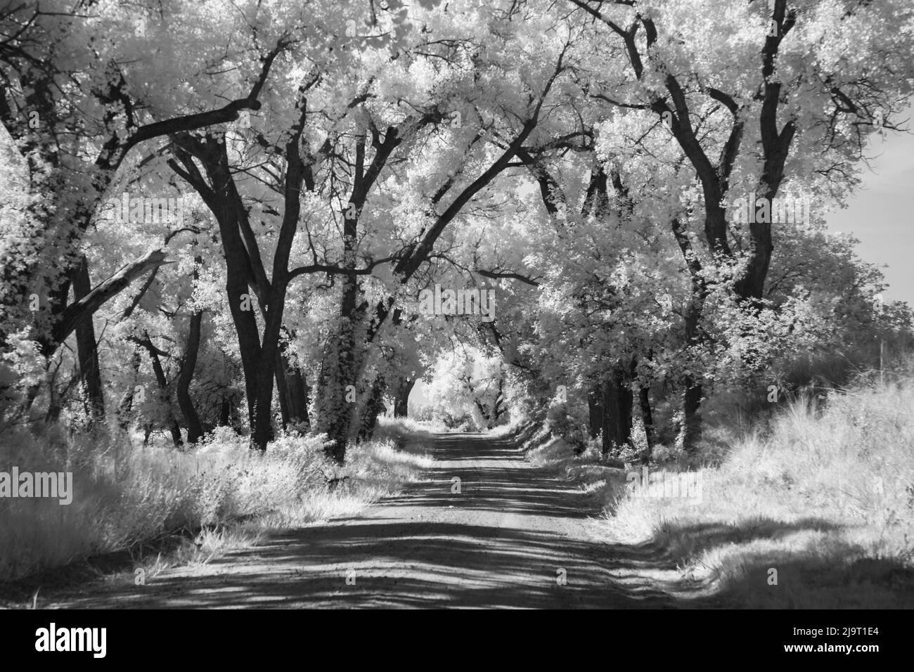 Country road in usa Black and White Stock Photos & Images - Alamy