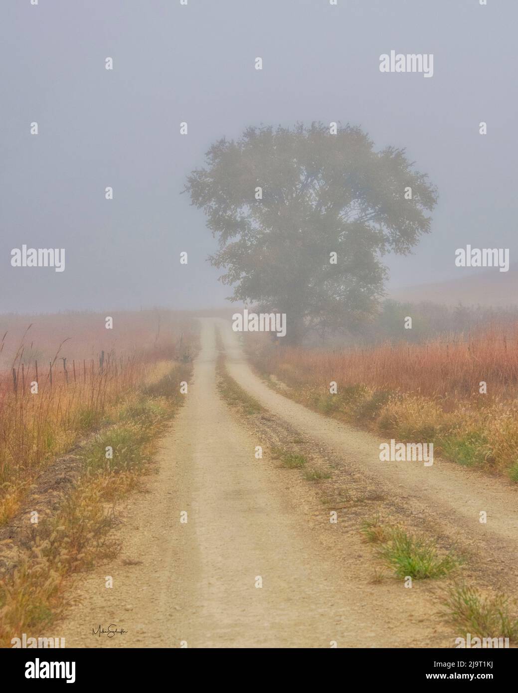 Backroad a hi-res stock photography and images - Alamy