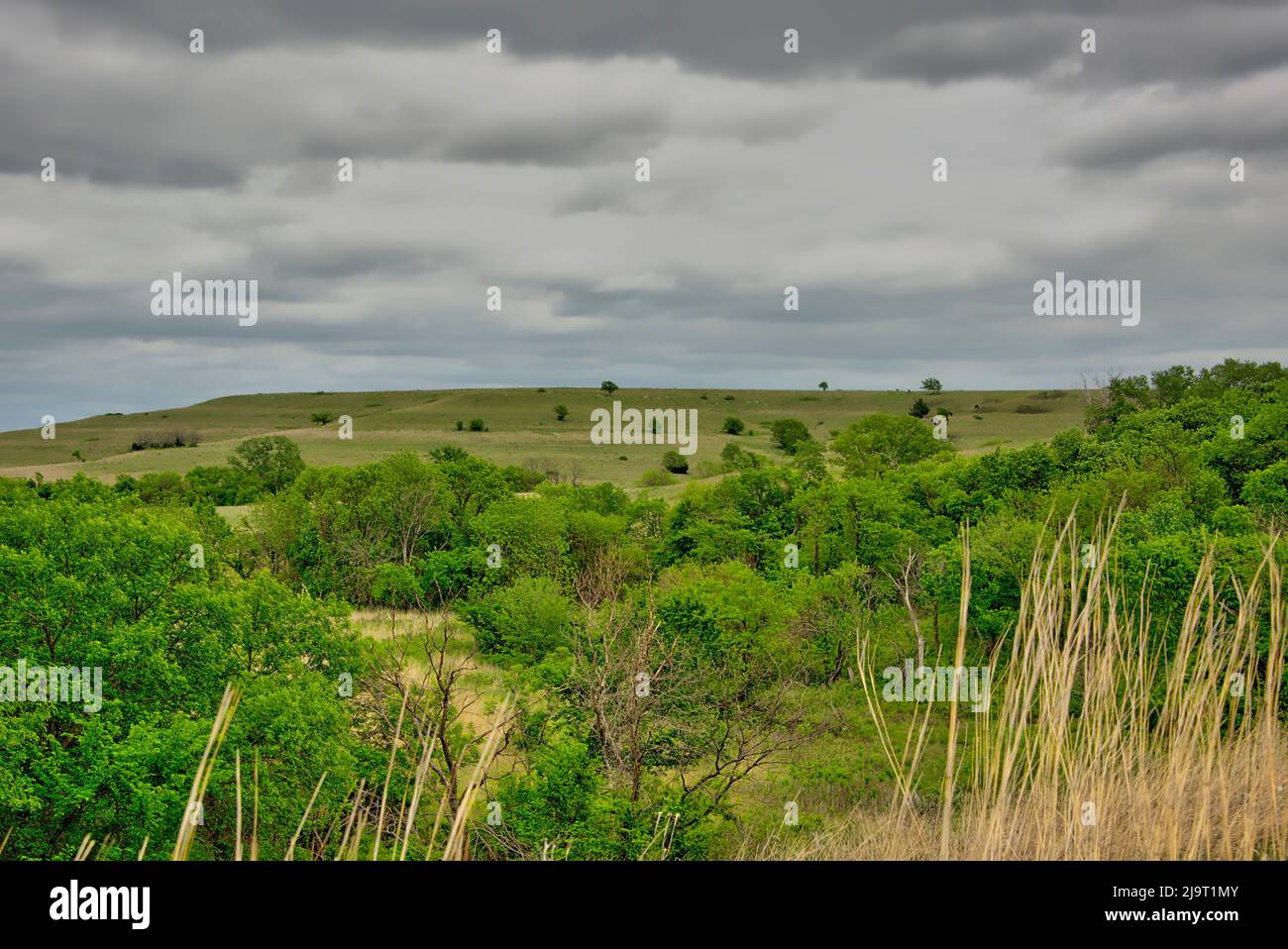 Viewing across some of the Flint Hills in Kansas Stock Photo - Alamy