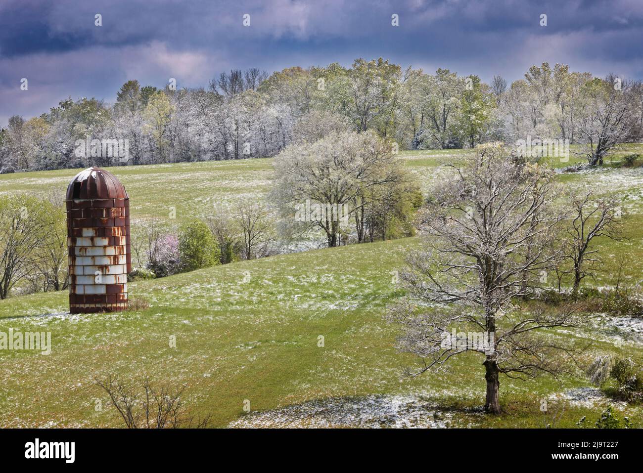 Light snow in spring, rural area of Kentucky Stock Photo - Alamy