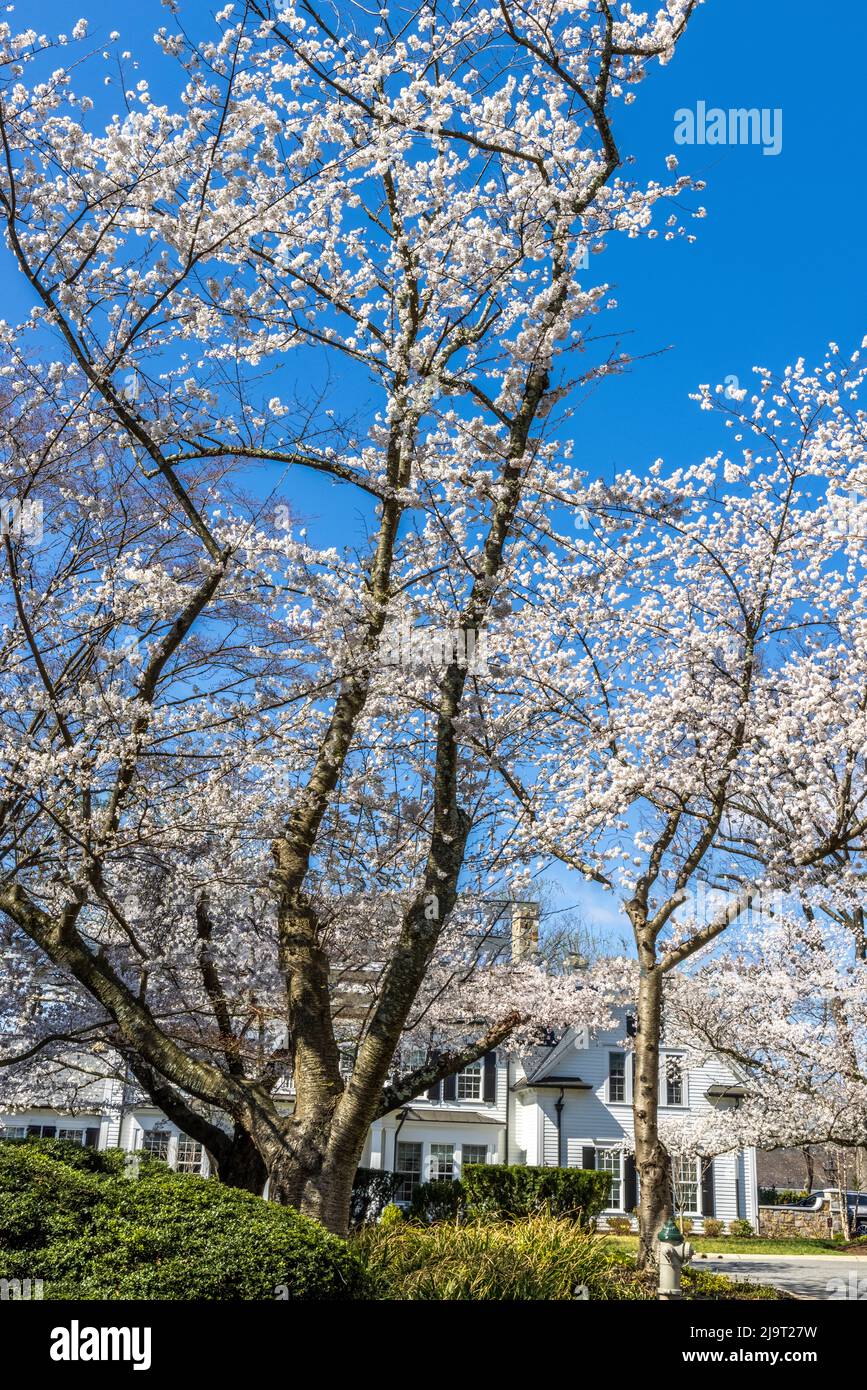 Bethesda maryland residential hi-res stock photography and images - Alamy
