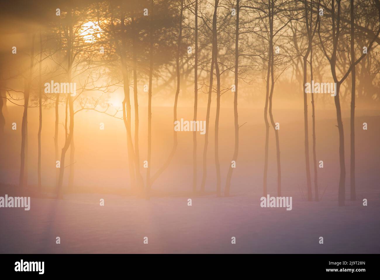 Early morning sun, through a winter mist Stock Photo - Alamy