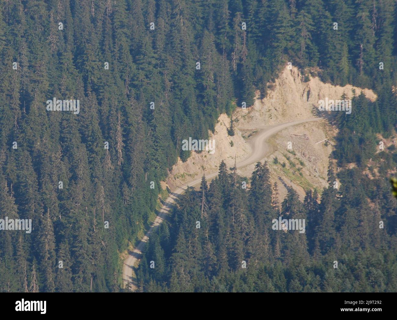 Erosion along a Logging Road in the Cascade Mountains Stock Photo - Alamy