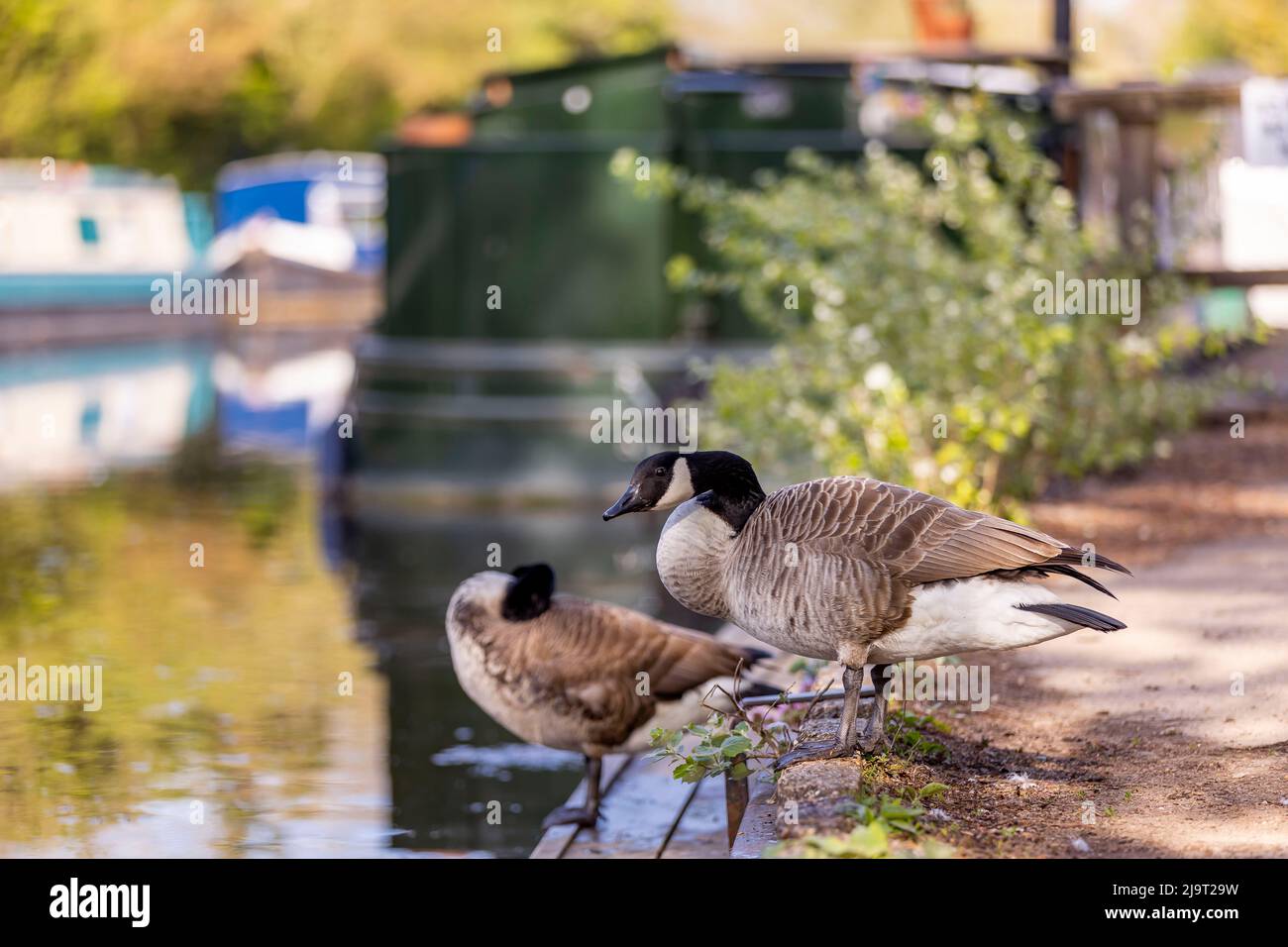 Greenford Quay, London Stock Photo - Alamy