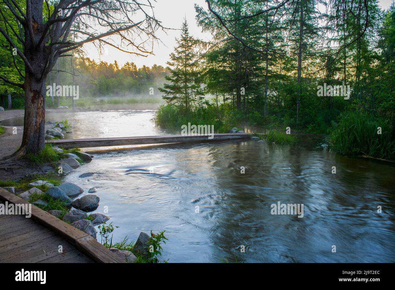 USA, Minnesota, Itasca State Park, Mississippi Headwaters Stock Photo ...