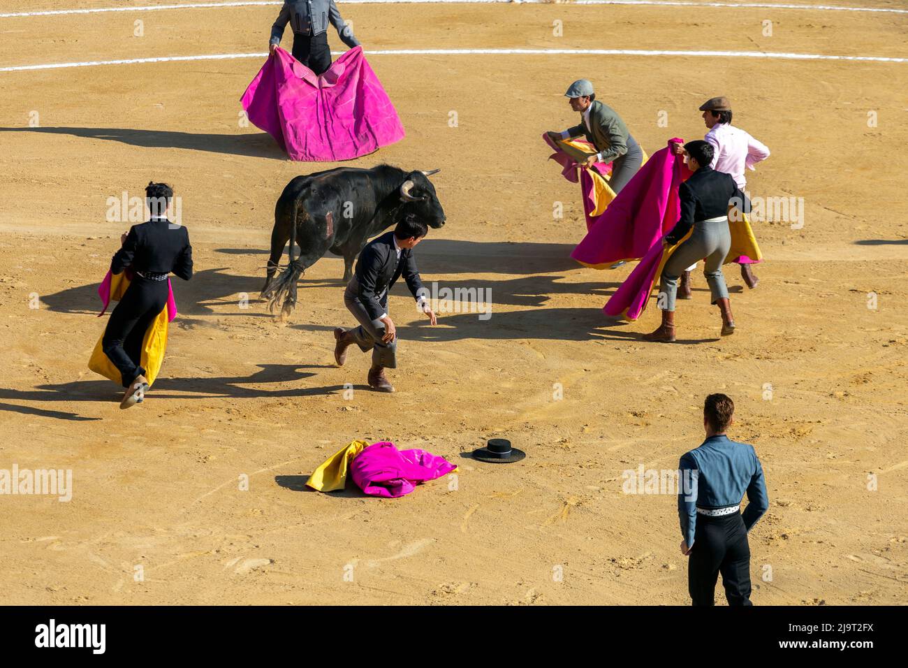 Valencia, Spain - 05 06 2022: Bullfighter been tumbled by a bull in the ...