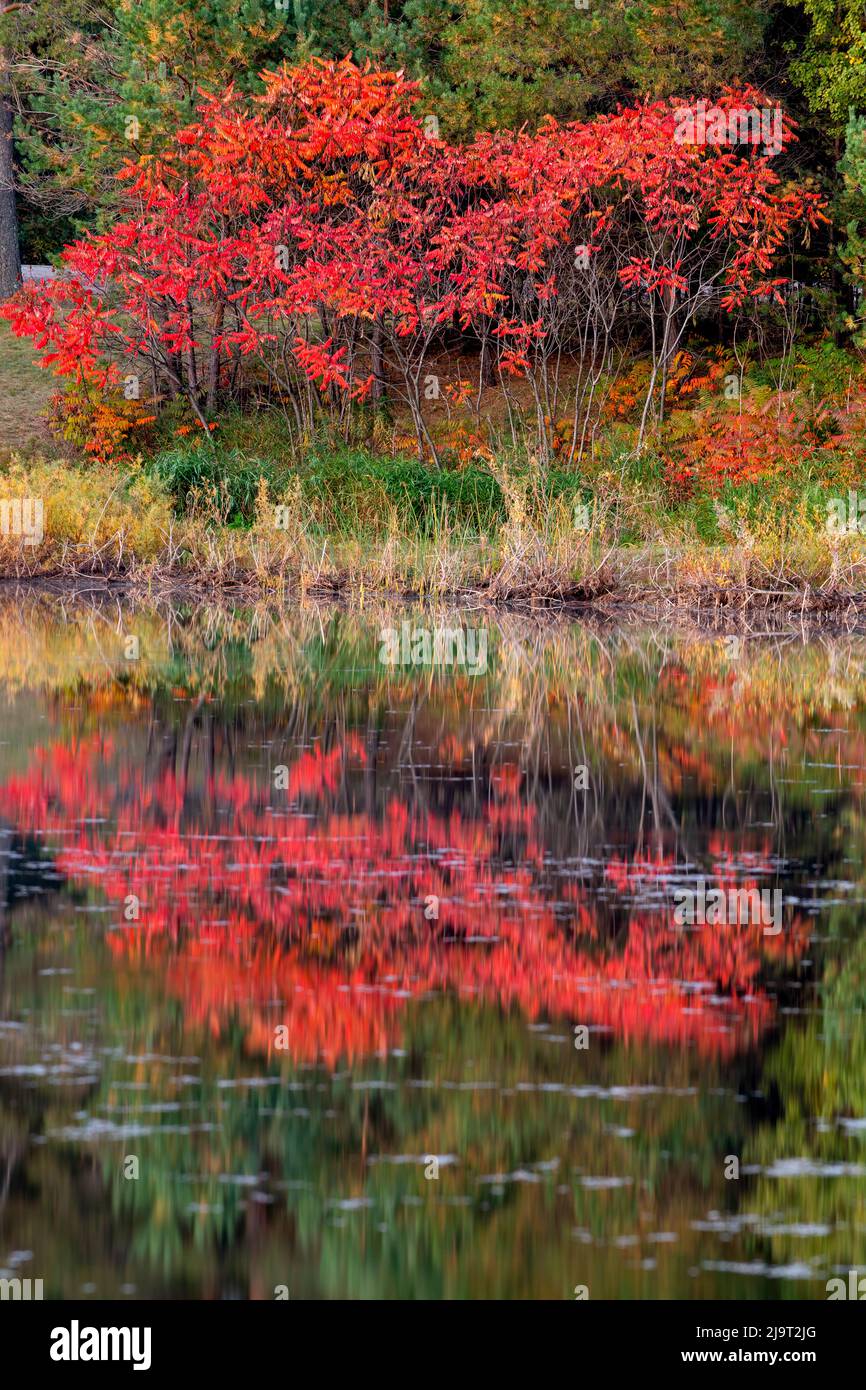 Fall_color hi-res stock photography and images - Alamy