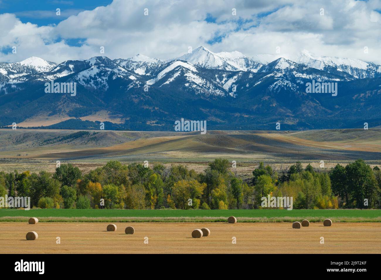 Crazy Mountains near Wilsall, Montana Stock Photo - Alamy