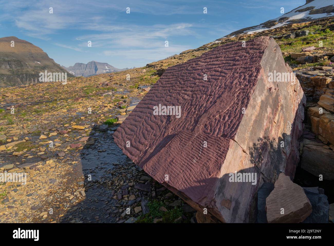 Large sedimentary rock showing fossilized ripples in the mud of an ...