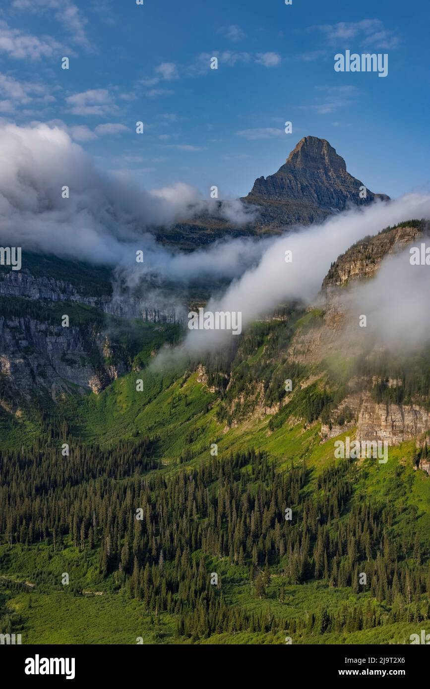 Rolling fog clouds with Reynolds Mountains at Logan Pass in Glacier ...