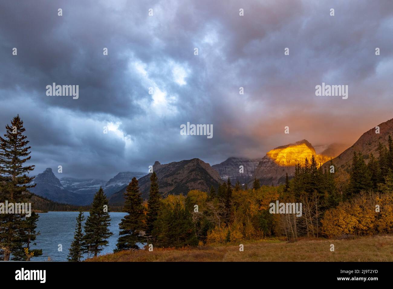 Shoulder of Mount Cleveland bathed in golden sunrise light in Glacier ...