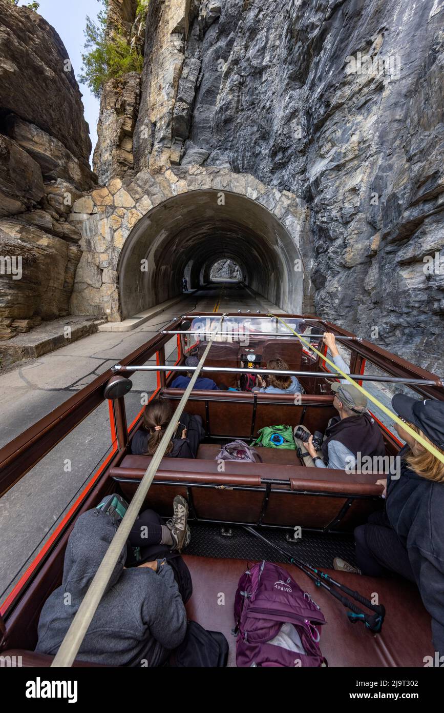 Iconic Red Jammer bus entering westside tunnel in Glacier National Park ...