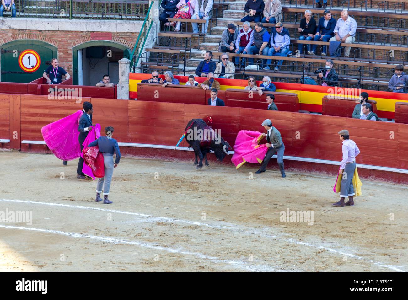 Valencia, Spain - 05 06 2022: A bullfighter playing with the bull in ...
