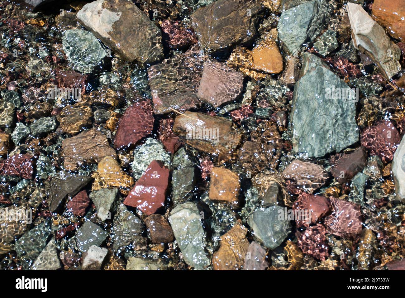 Rocks in Lake McDonald, Glacier National Park, Montana, USA Stock Photo ...