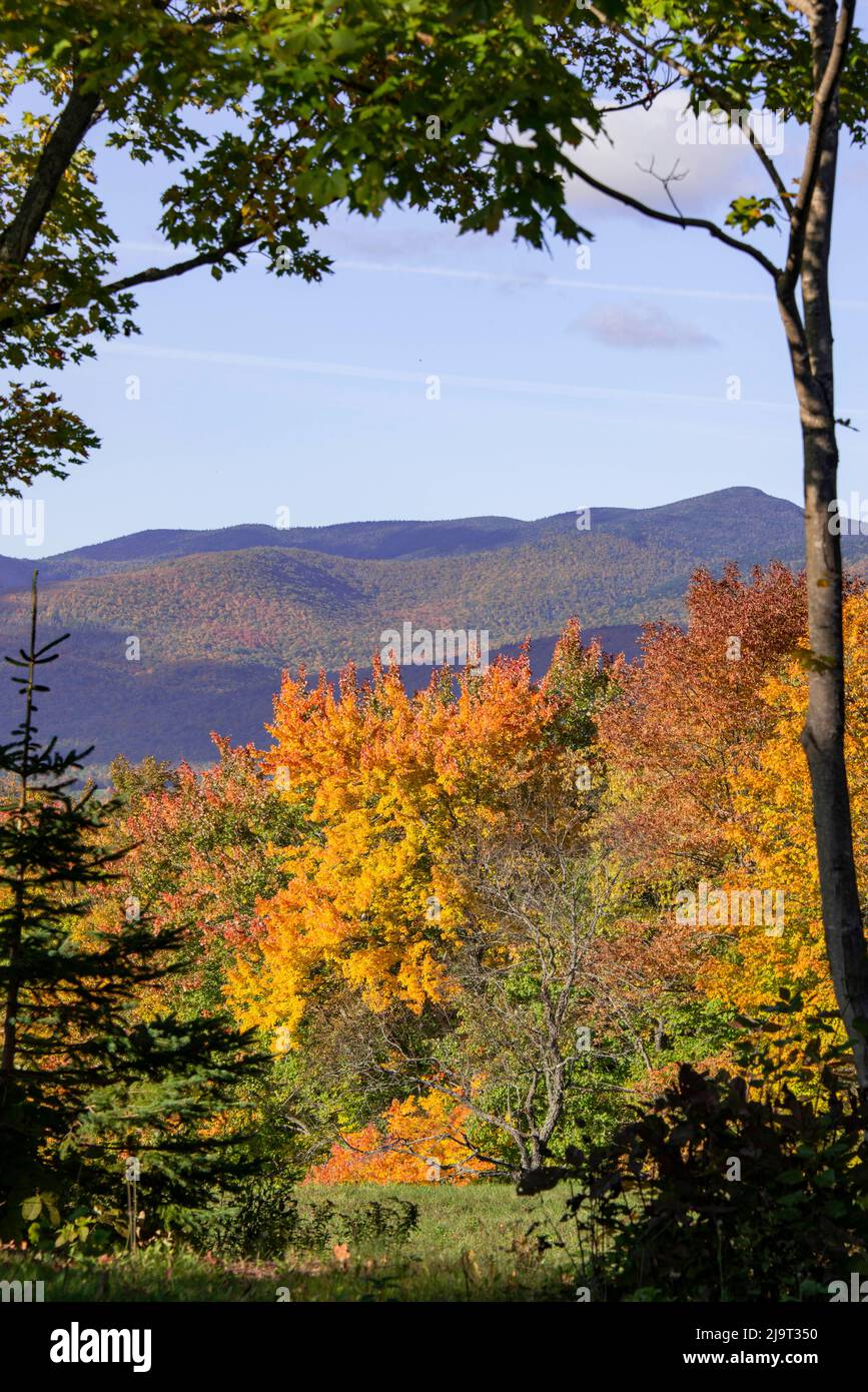 USA, New Hampshire, fall foliage Lancaster on Gore Road Stock Photo - Alamy