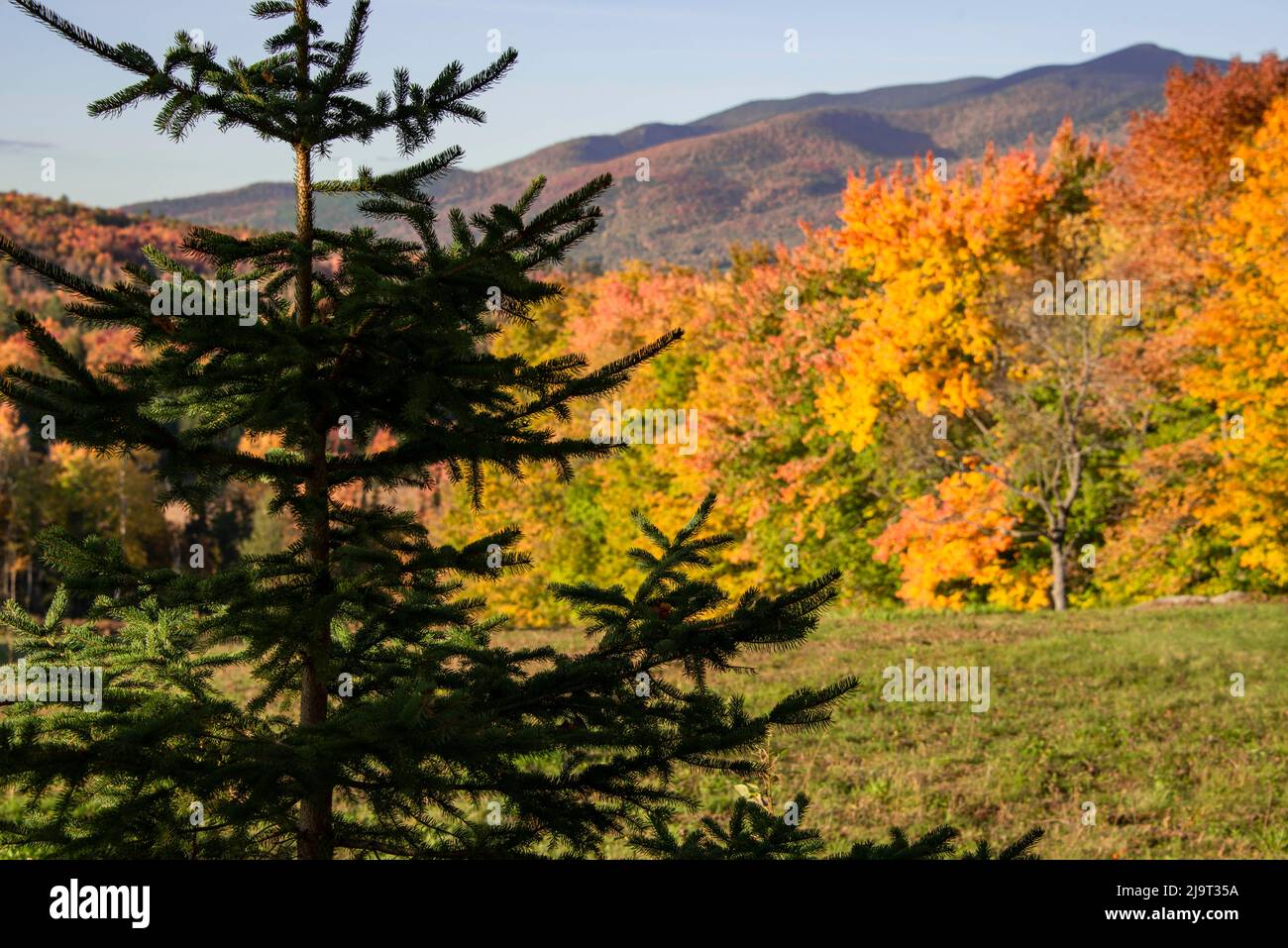USA, New Hampshire, fall foliage Lancaster on Gore Road Stock Photo - Alamy