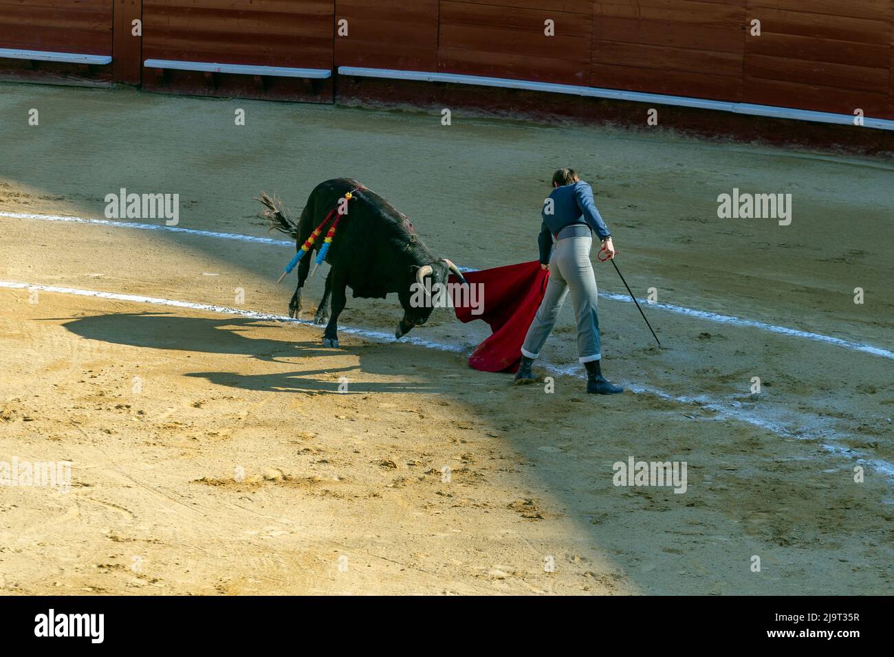 Valencia, Spain - 05 06 2022: A bullfighter awaiting for the bull in ...
