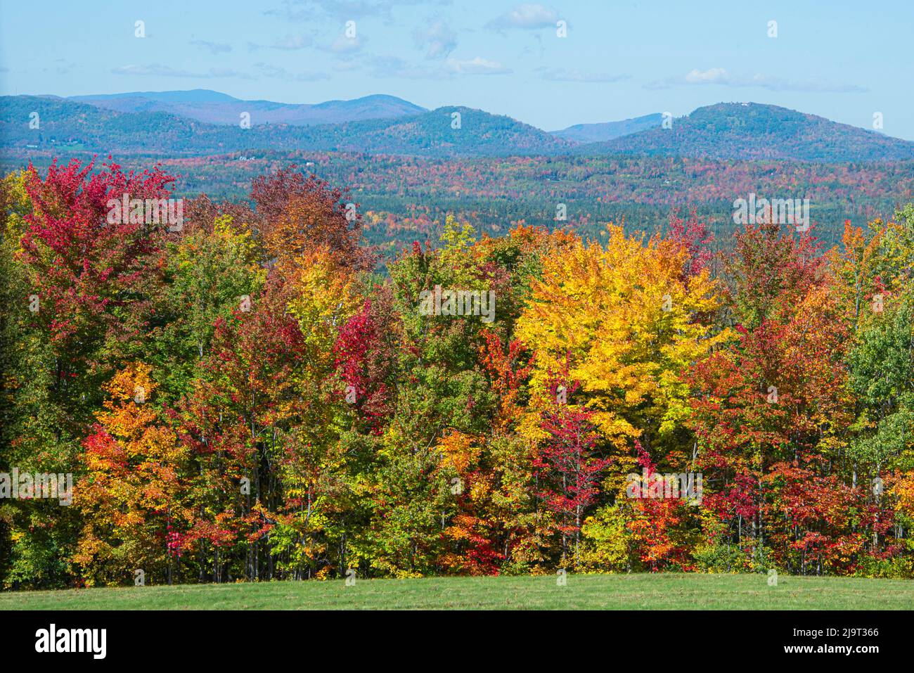 USA, New Hampshire, fall foliage at foot of Mt. Washington Stock Photo ...