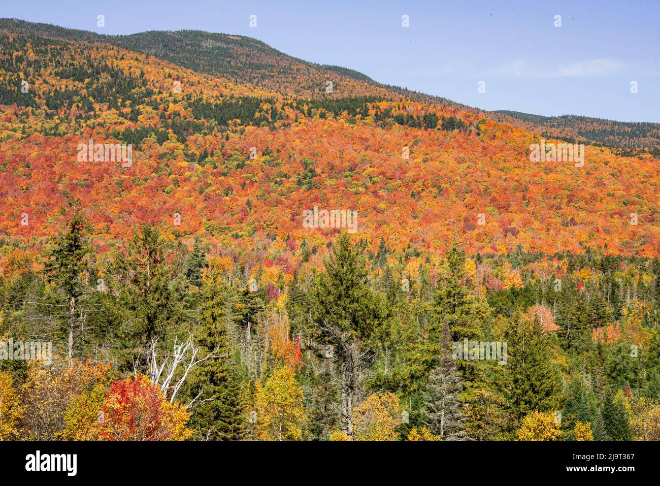 New hampshire fall foliage hi-res stock photography and images - Alamy