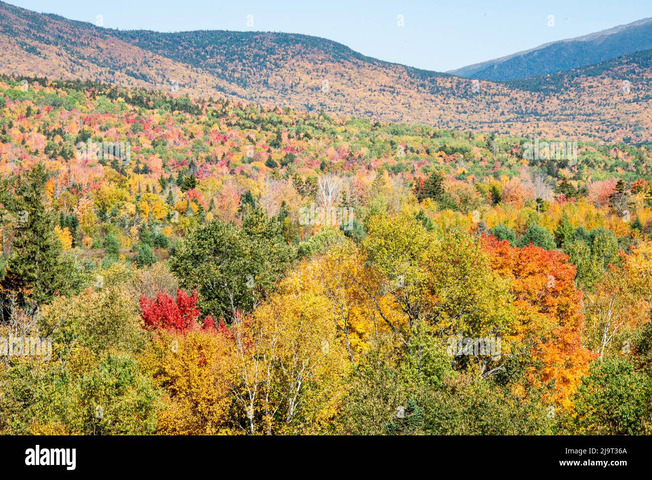 USA, New Hampshire, fall foliage of Mt. Washington seen from Bretton ...
