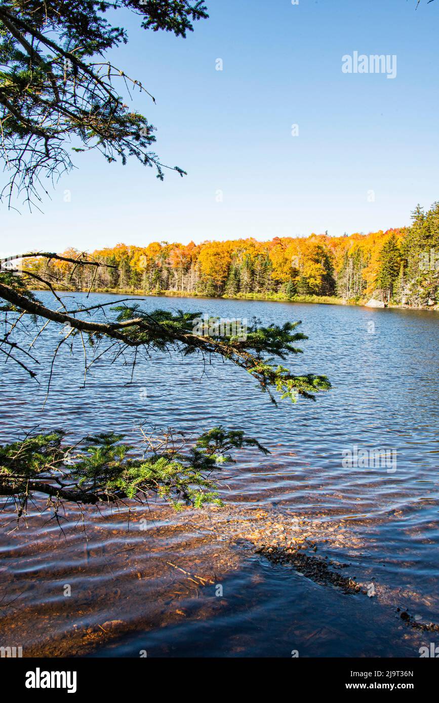 USA, New Hampshire, fall foliage Bretton Woods, Saco Lake Stock Photo ...