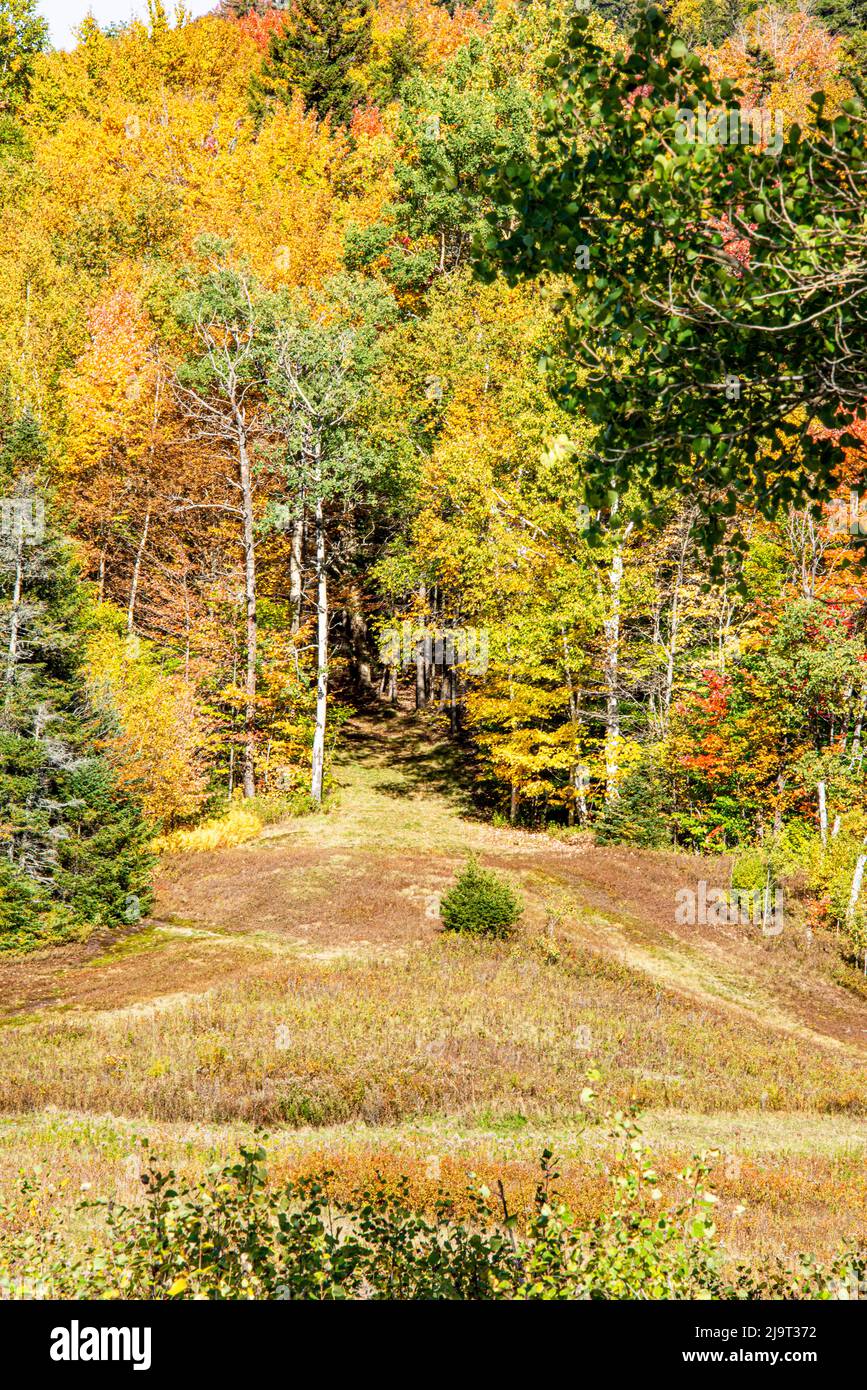 USA, New Hampshire, fall foliage Bretton Woods at base of Mount ...