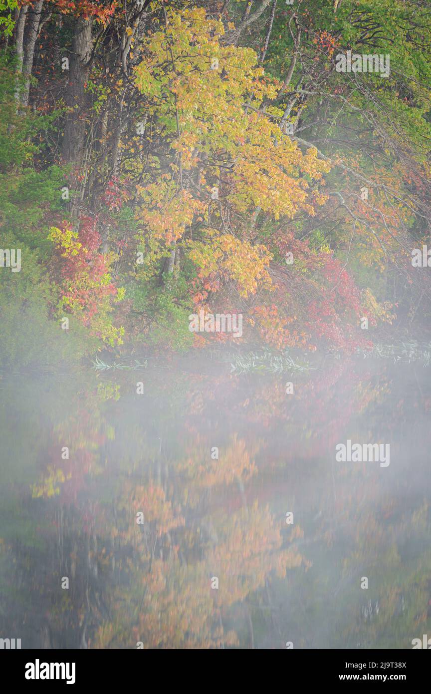 Pine barrens hi-res stock photography and images - Alamy