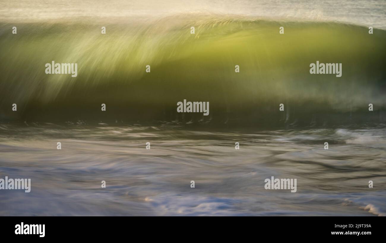 USA, New Jersey, Cape May National Seashore Stock Photo - Alamy