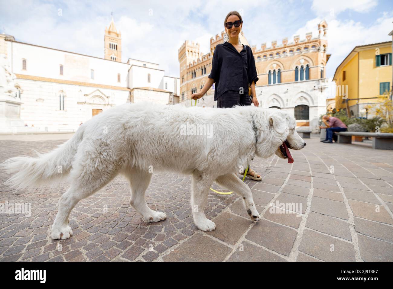 Maremma italian sheepdog hi-res stock photography and images - Alamy