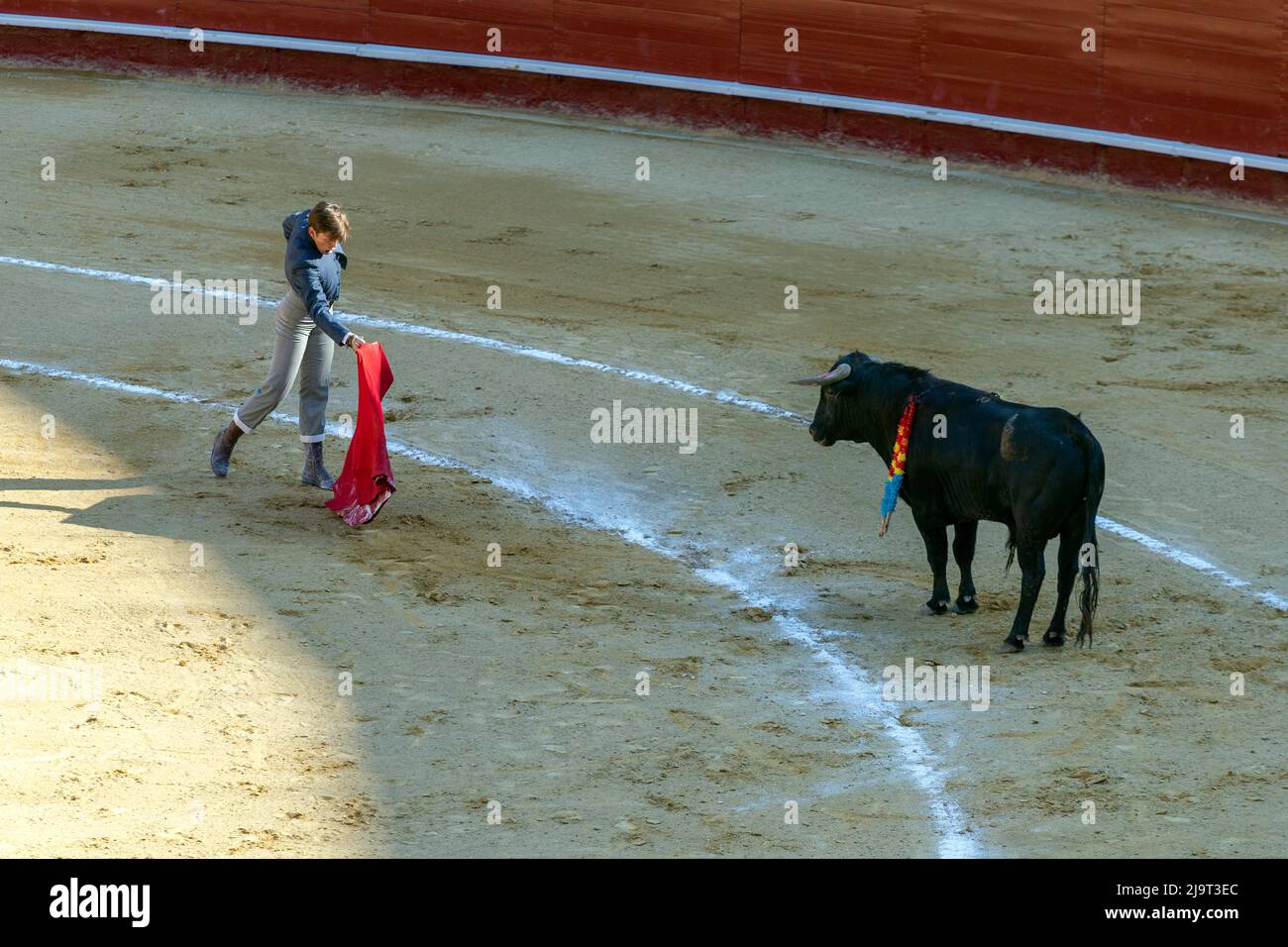 Valencia, Spain - 05 06 2022: A bullfighter awaiting for the bull in ...