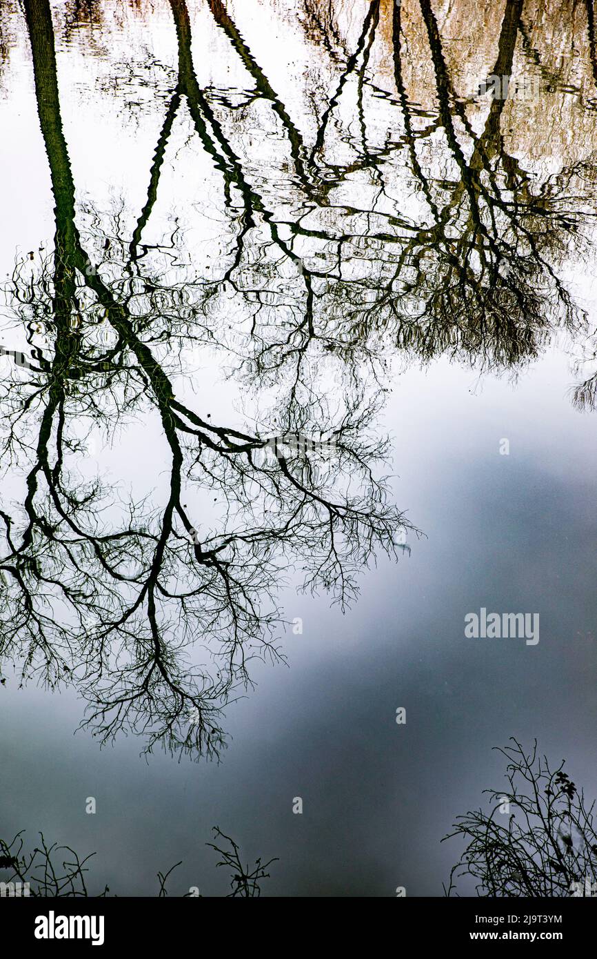 Sunrise springs santa fe hi-res stock photography and images - Alamy