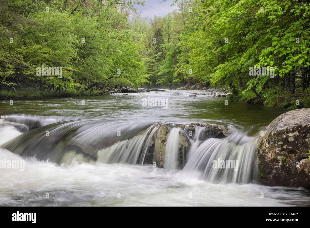 Cascading mountain stream, Great Smoky Mountains National Park, Tennessee, North Carolina Stock ...