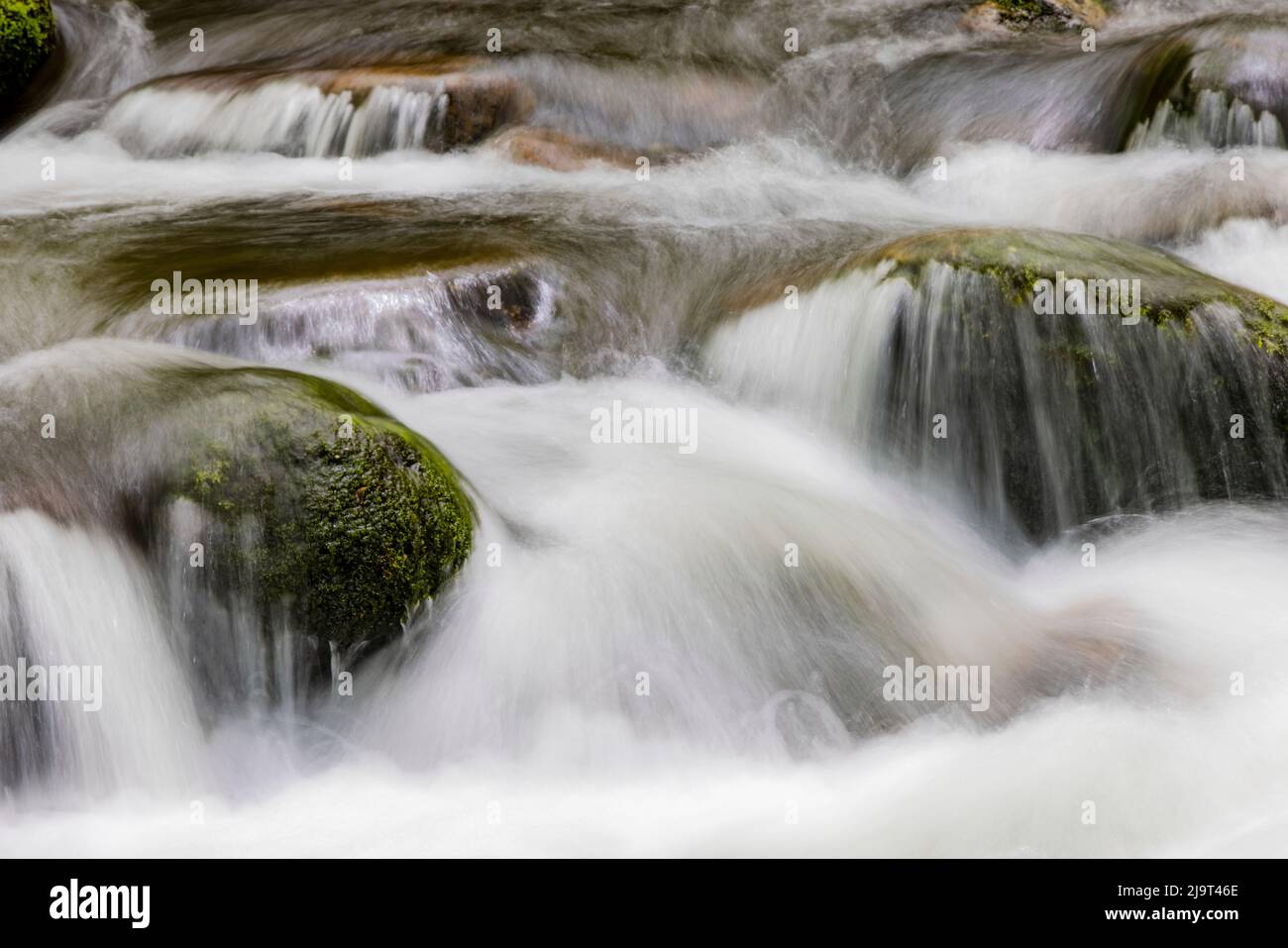 Cascading mountain stream, Great Smoky Mountains National Park, Tennessee, North Carolina Stock ...