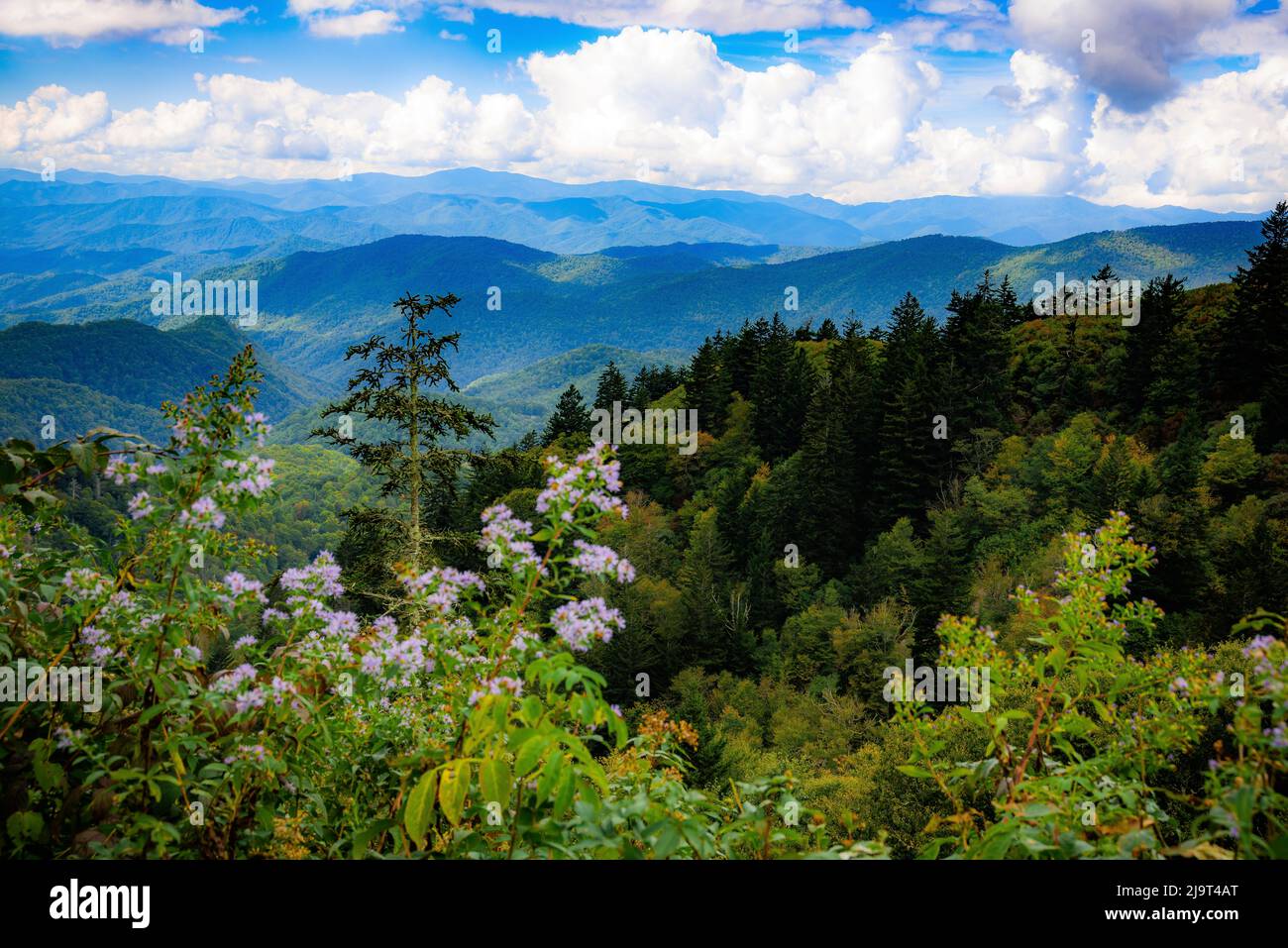 Blue Ridge Parkway vista, Smoky Mountains, USA Stock Photo - Alamy
