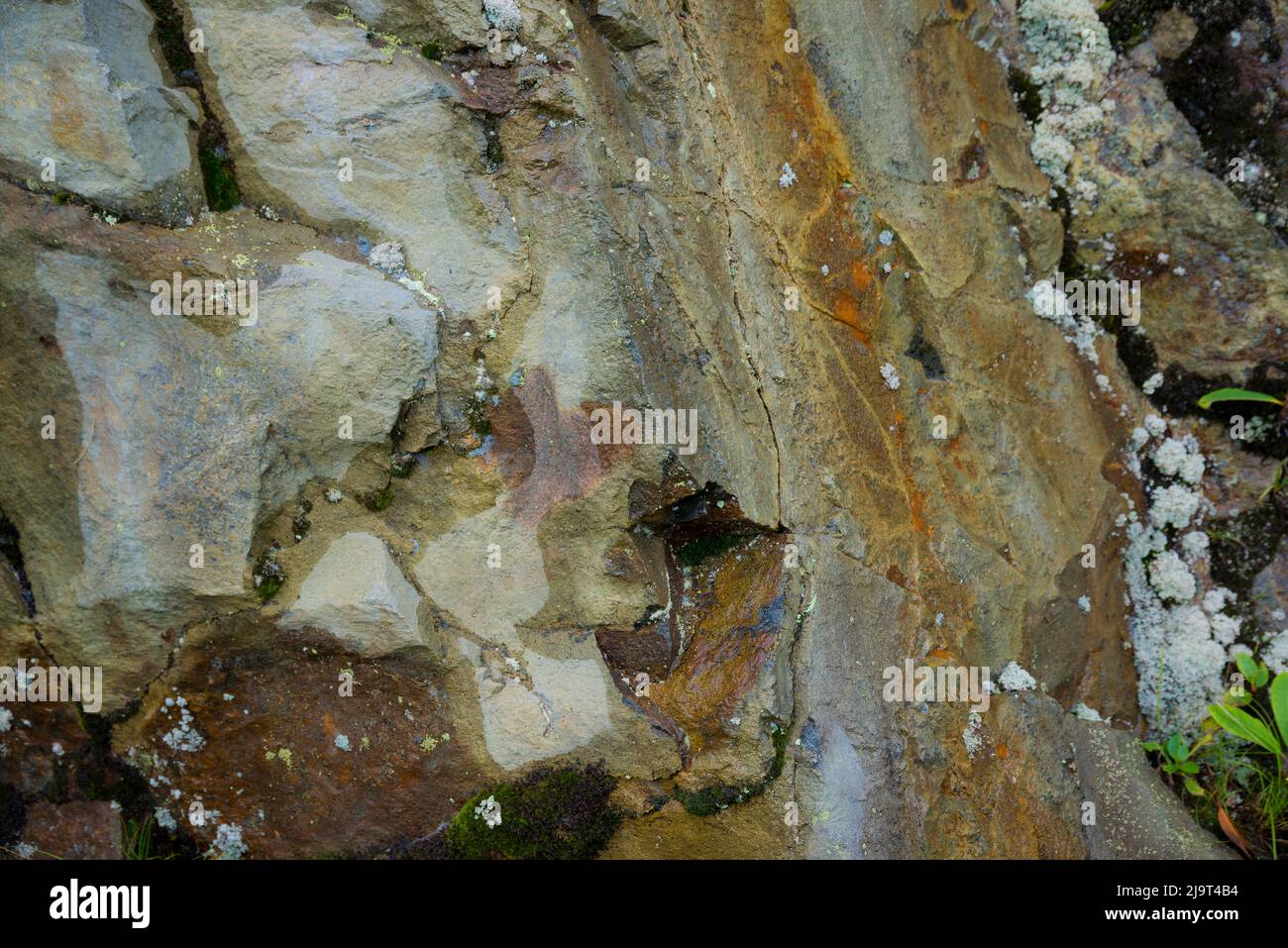 Rock face texture, Blue Ridge Parkway, Smoky Mountains, USA Stock Photo ...