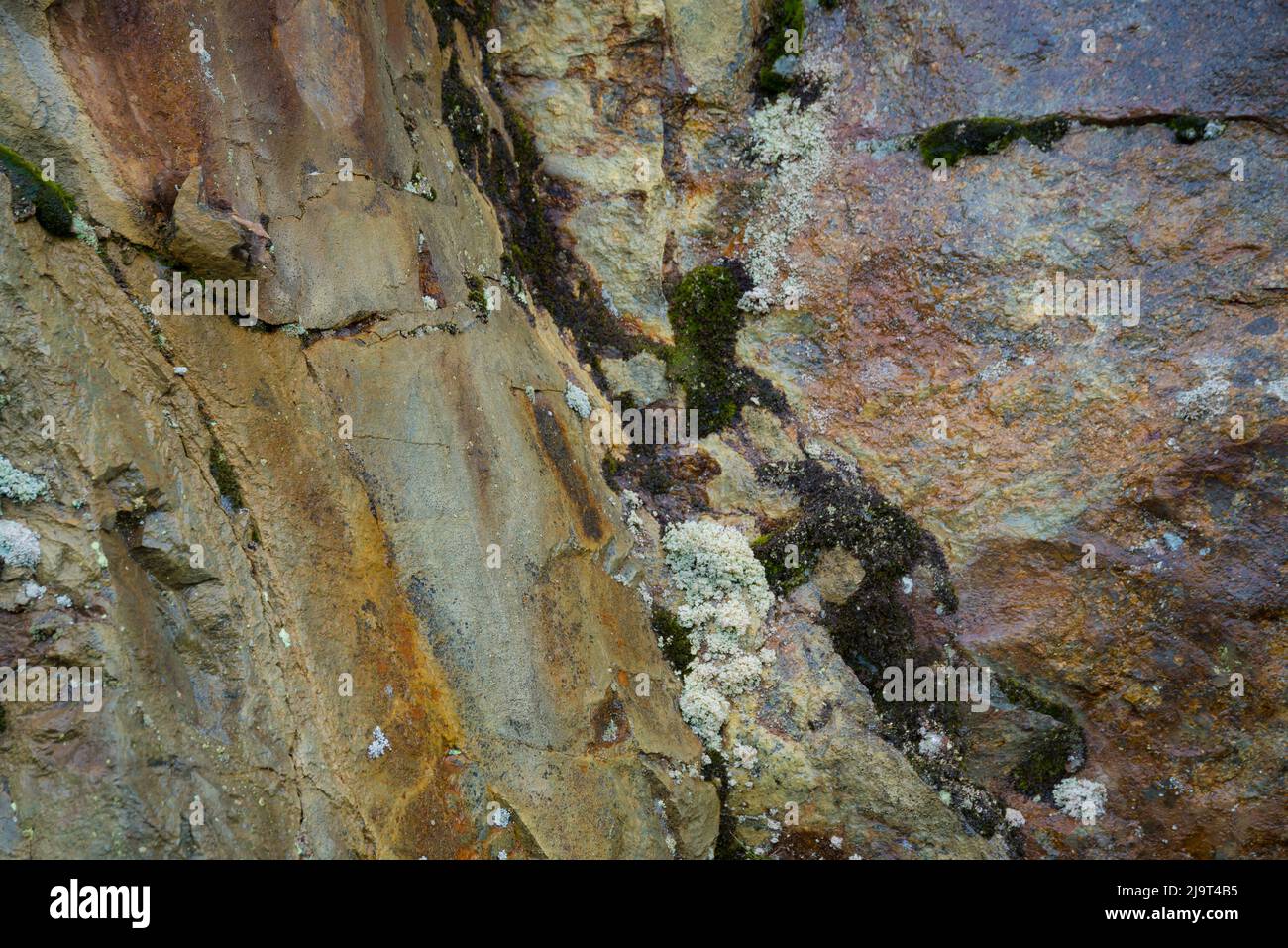 Rock face texture, Blue Ridge Parkway, Smoky Mountains, USA Stock Photo ...