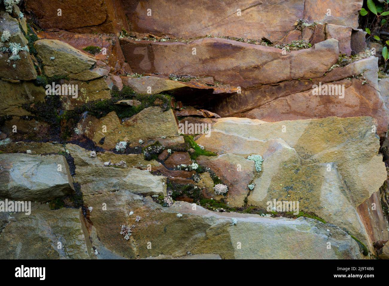 Rock face texture, Blue Ridge Parkway, Smoky Mountains, USA Stock Photo ...