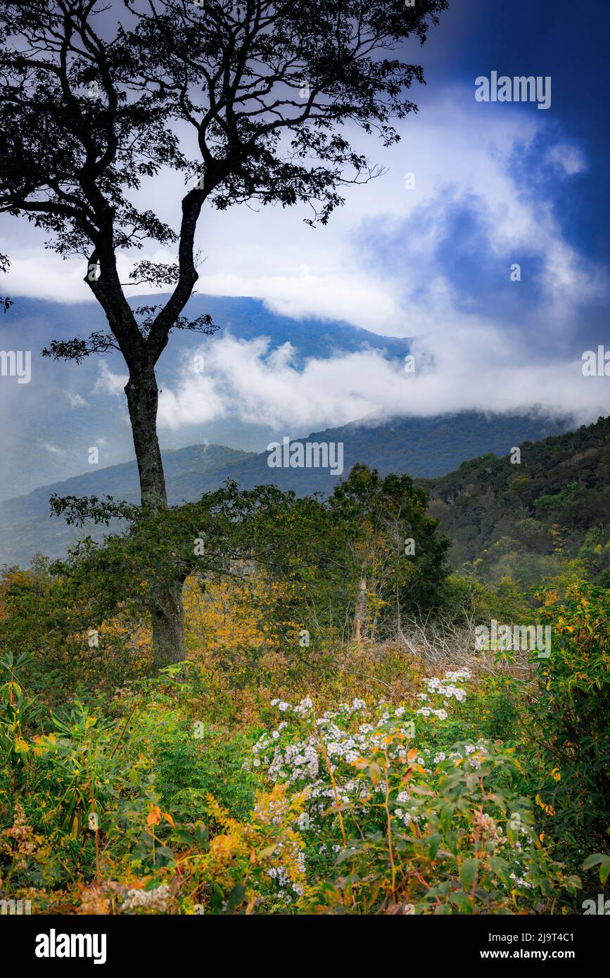 Blue Ridge Parkway vista, Smoky Mountains, USA Stock Photo - Alamy