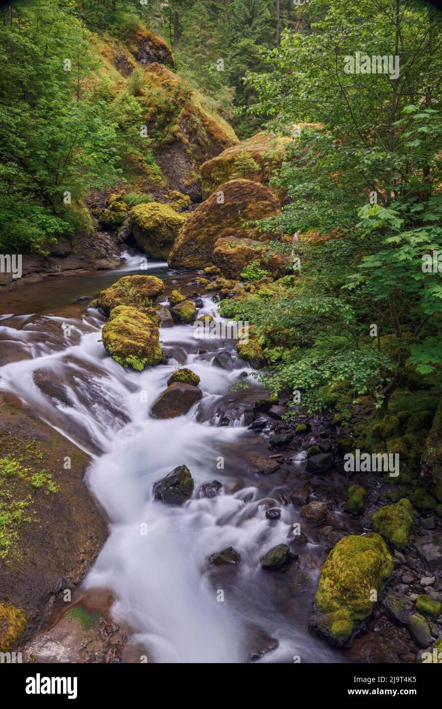 Tanner creek columbia gorge hi-res stock photography and images - Alamy