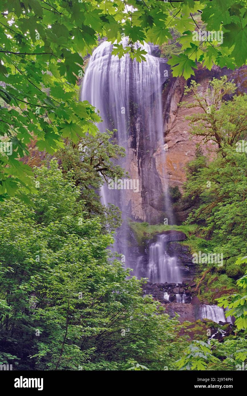 Cascading Dreams: Exploring Oregon's Golden And Silver Falls State ...
