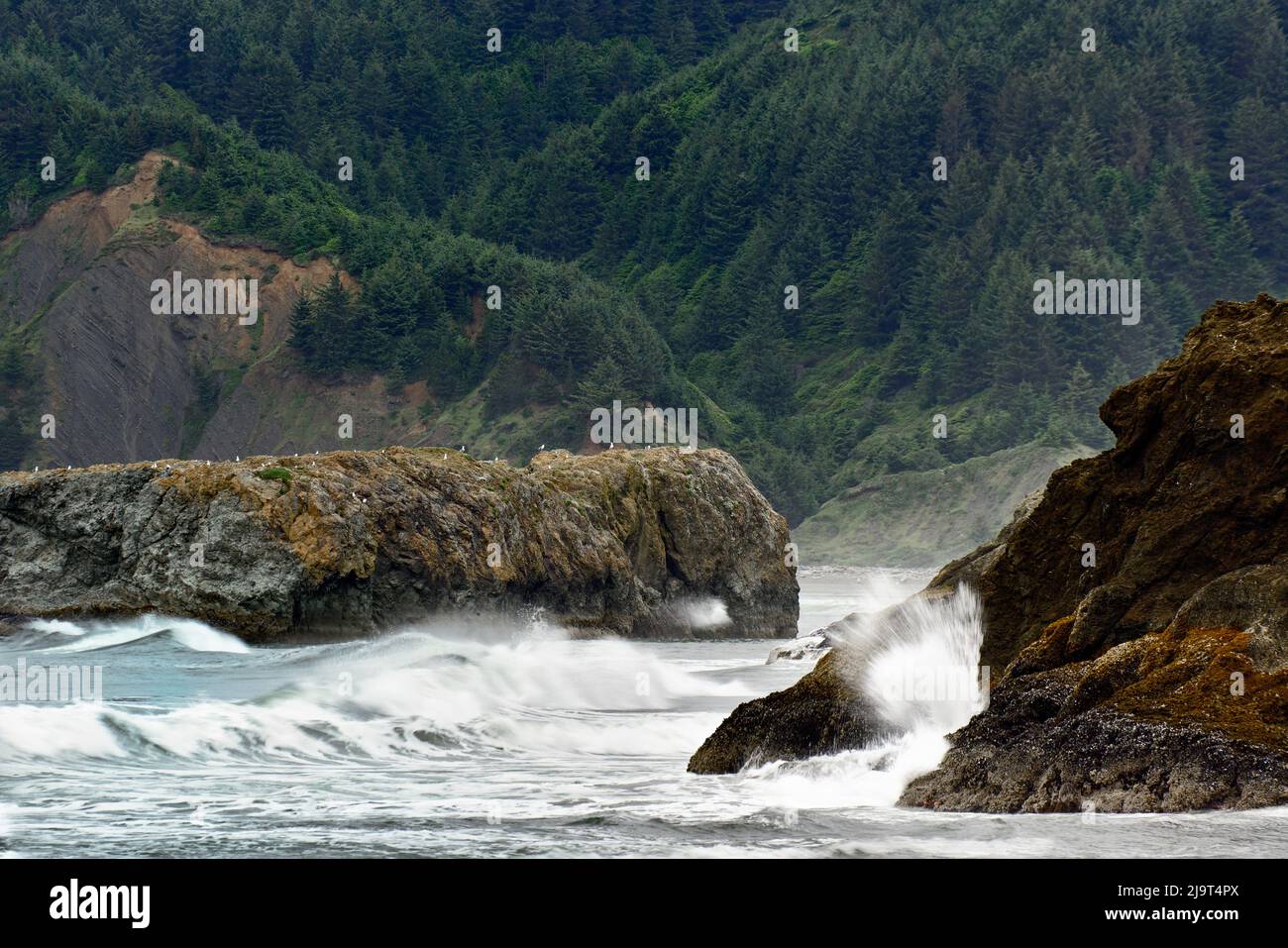 Surf among rocks, Samuel H. Boardman State Scenic Corridor, Oregon ...