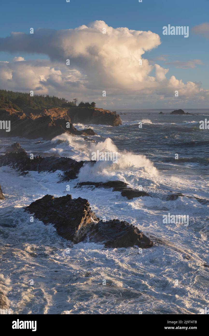 Shore Acres State Park, Oregon Stock Photo - Alamy