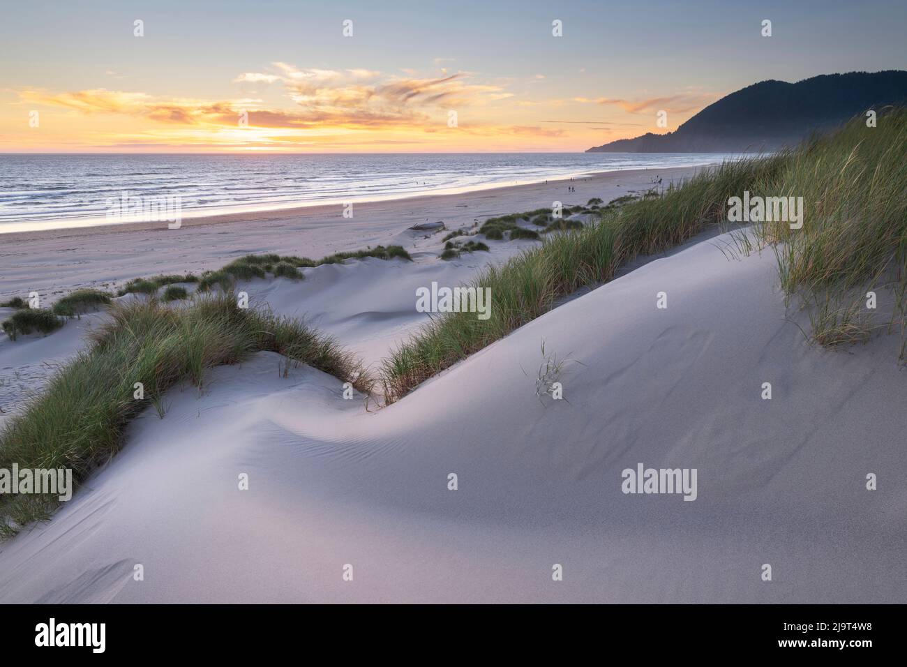 Nehalem beach hi-res stock photography and images - Alamy