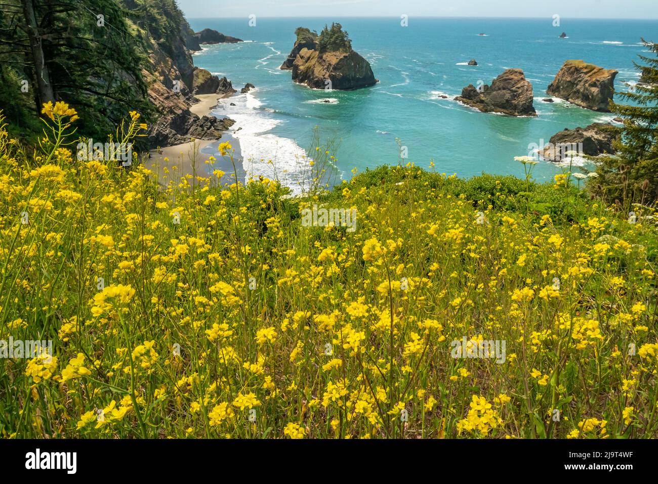 USA, Oregon. Arch Rock Lookout on Pacific Ocean shoreline Stock Photo ...