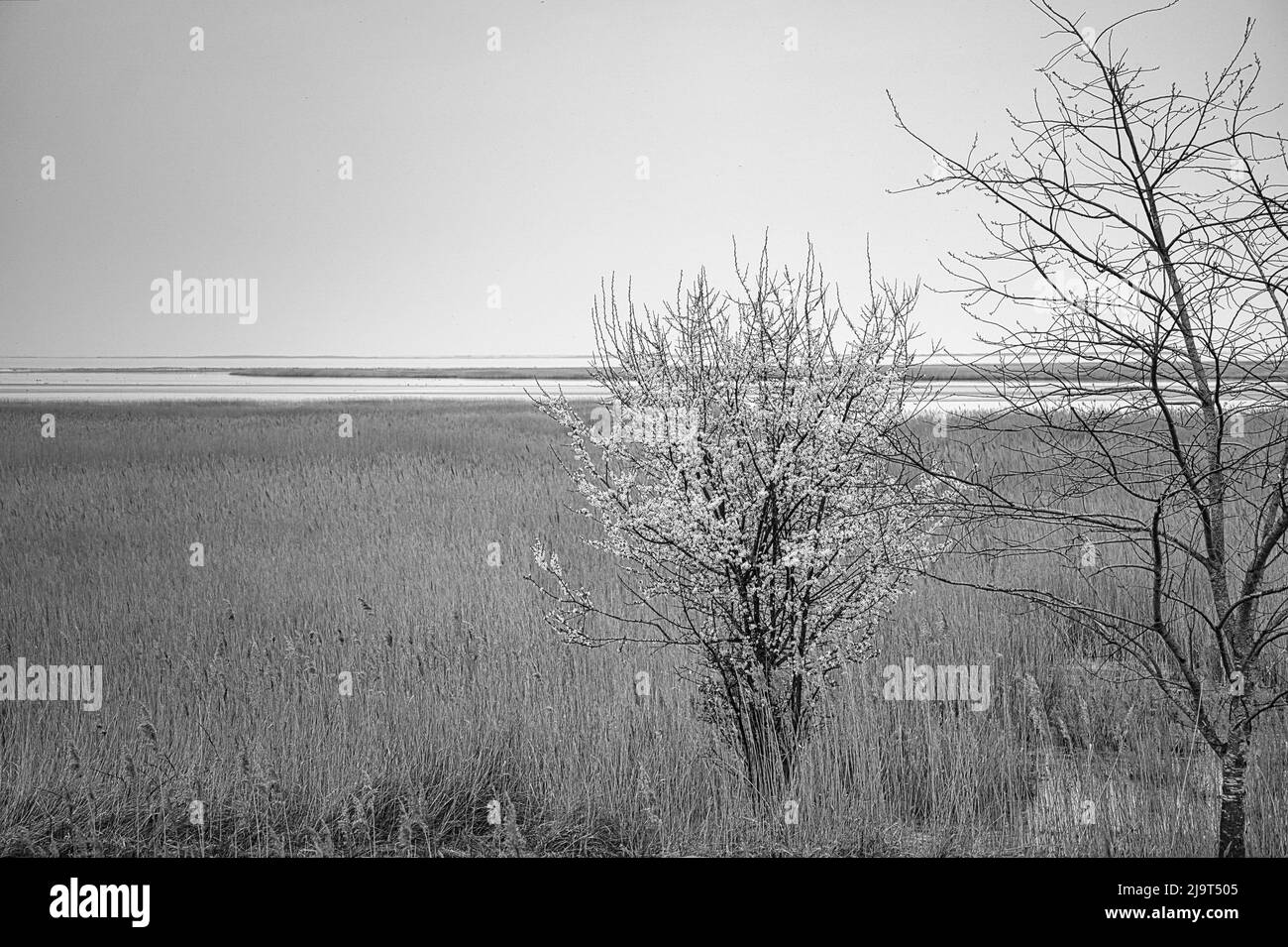 Dune photo Black and White Stock Photos & Images - Alamy