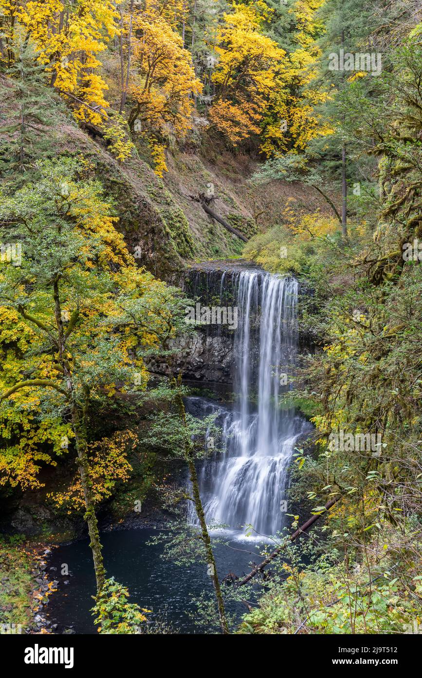 USA, Oregon, Silver Falls State Park. Lower South Falls waterfall ...